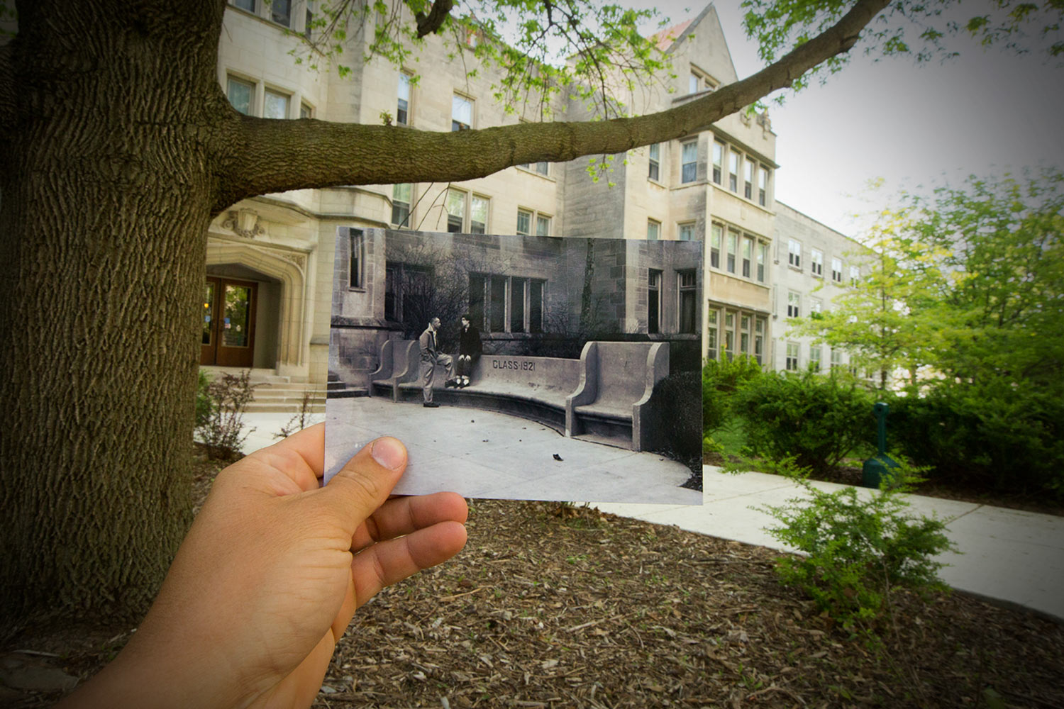 Eastern Illinois University | Official Website | EIU