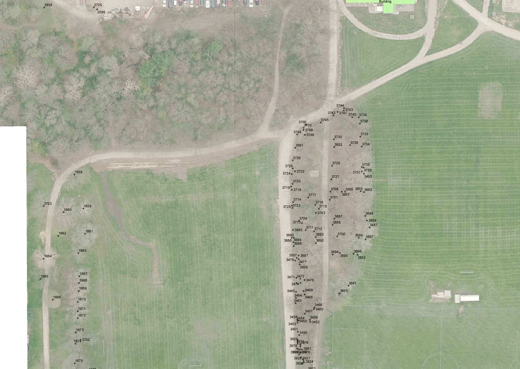 Eastern Illinois University :: H.F. Thut Greenhouse - Campus Tree ...