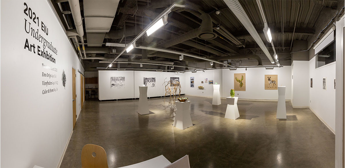 Eastern Illinois University :: Department of Art - Glenn Hild Student ...